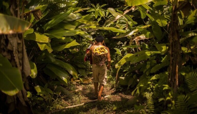 Ritual de Ayahuasca en Perú: ¿Qué es? ️ – Centro Awkipuma